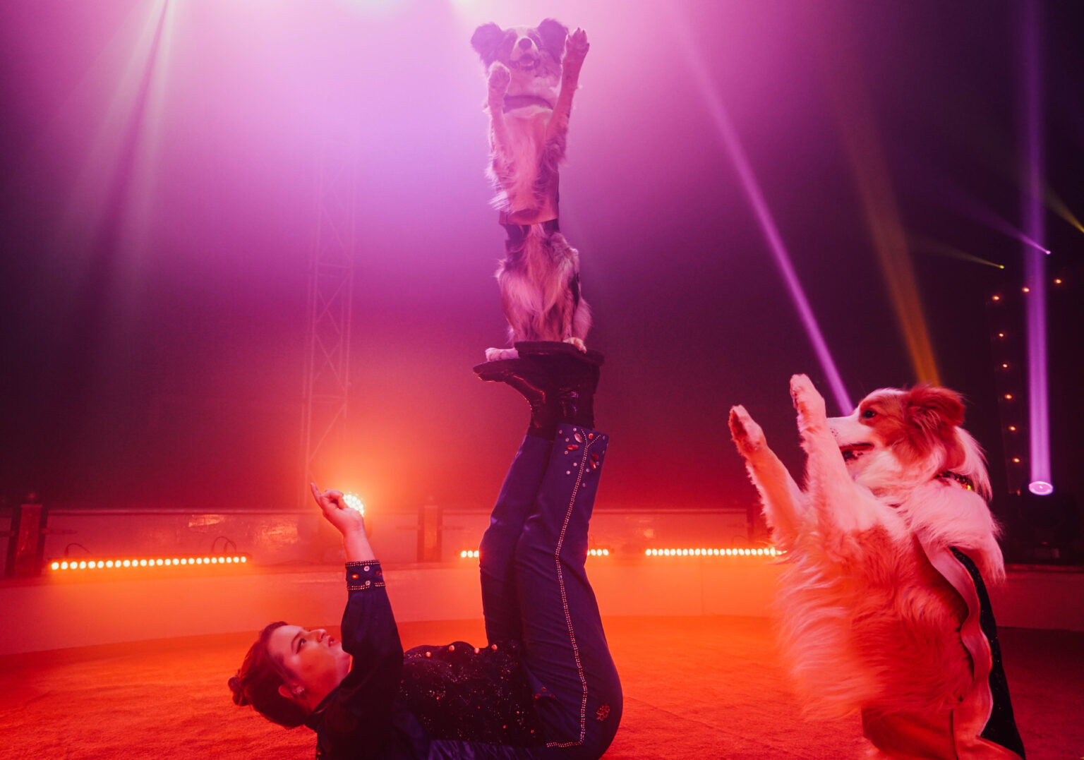 Show - Kerstcircus Den Haag